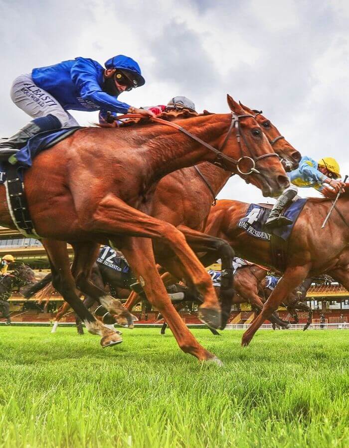 Equidia selects Globecast for cloud delivery - Globecast